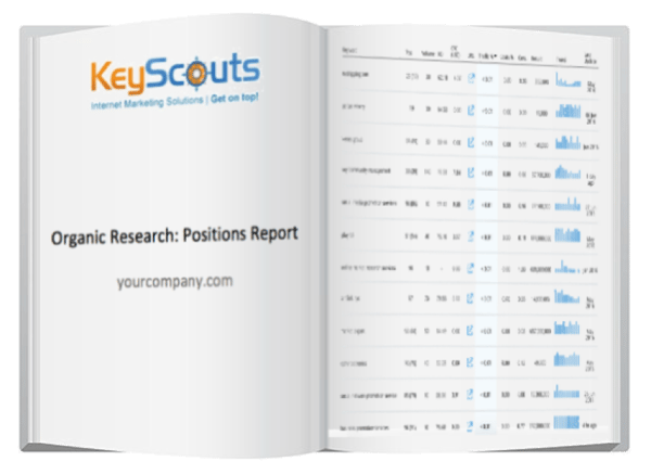 Get Your Free SEO Position Report